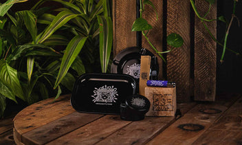 Die Wirkung von Cannabis im Joint. Das große 1 x 1 des Joint - hier ...